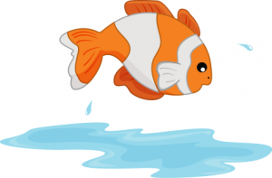 Fish Out of Water - Idiom Meaning and Origin | Common Phrases