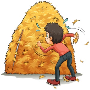 Looking For a Needle In a Haystack - Meaning & Origin | Phrases